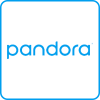 Case Study For Pandora | PITON Global