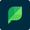 Case Study For Sprout Social | PITON Global
